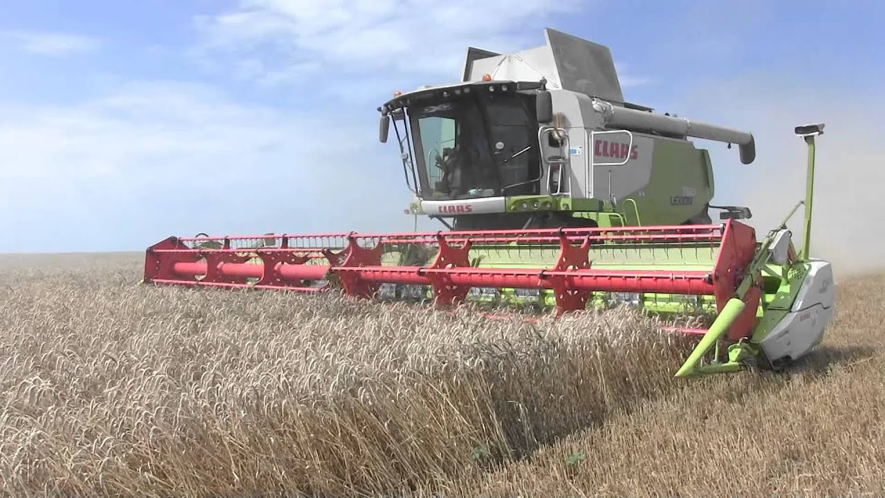 Treierat grau - Maxagro Farm - YouTube