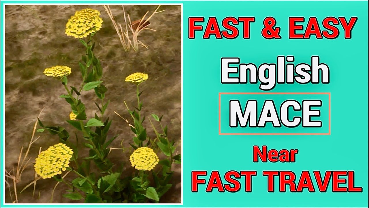 Fast & Easy English Mace - YouTube