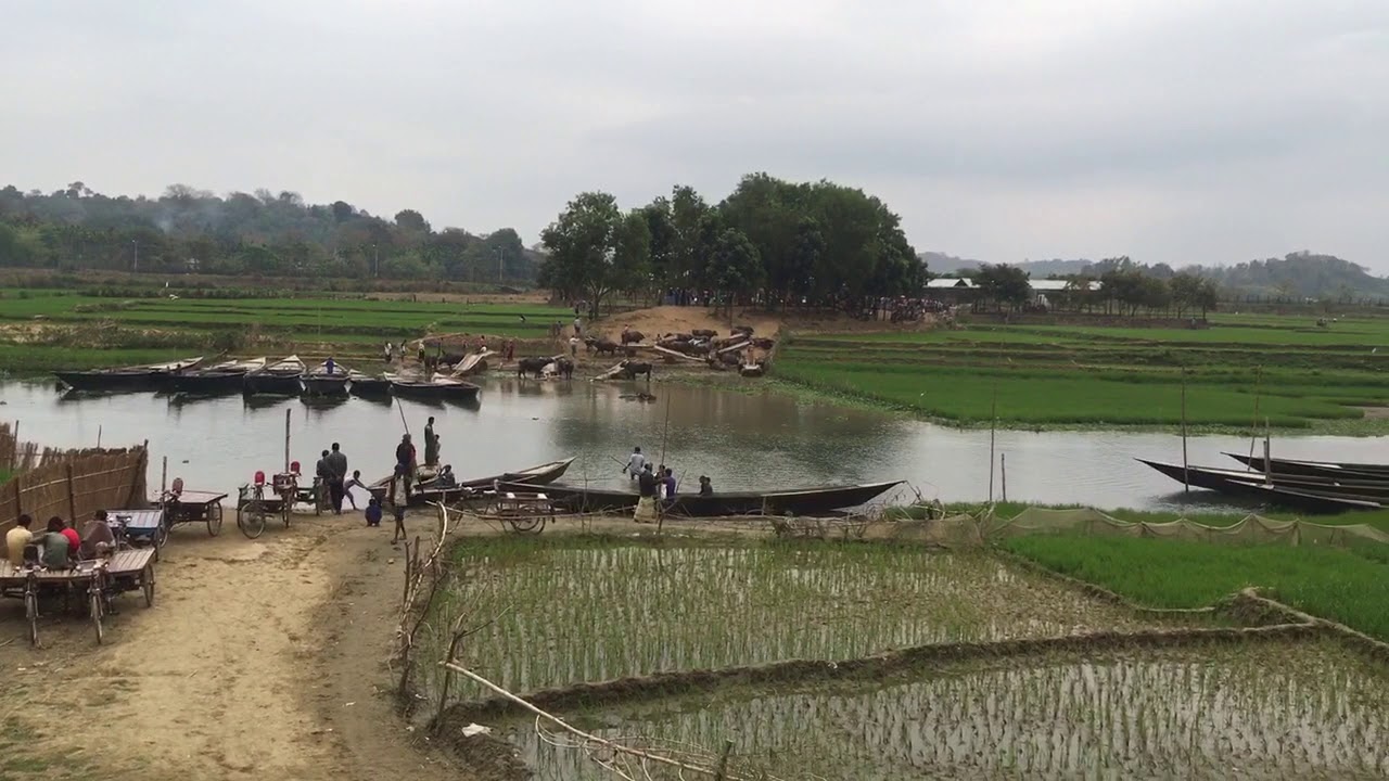 Rajibpur BANGLADESH 🇧🇩 & INDIA 🇮🇳 BORDER - YouTube