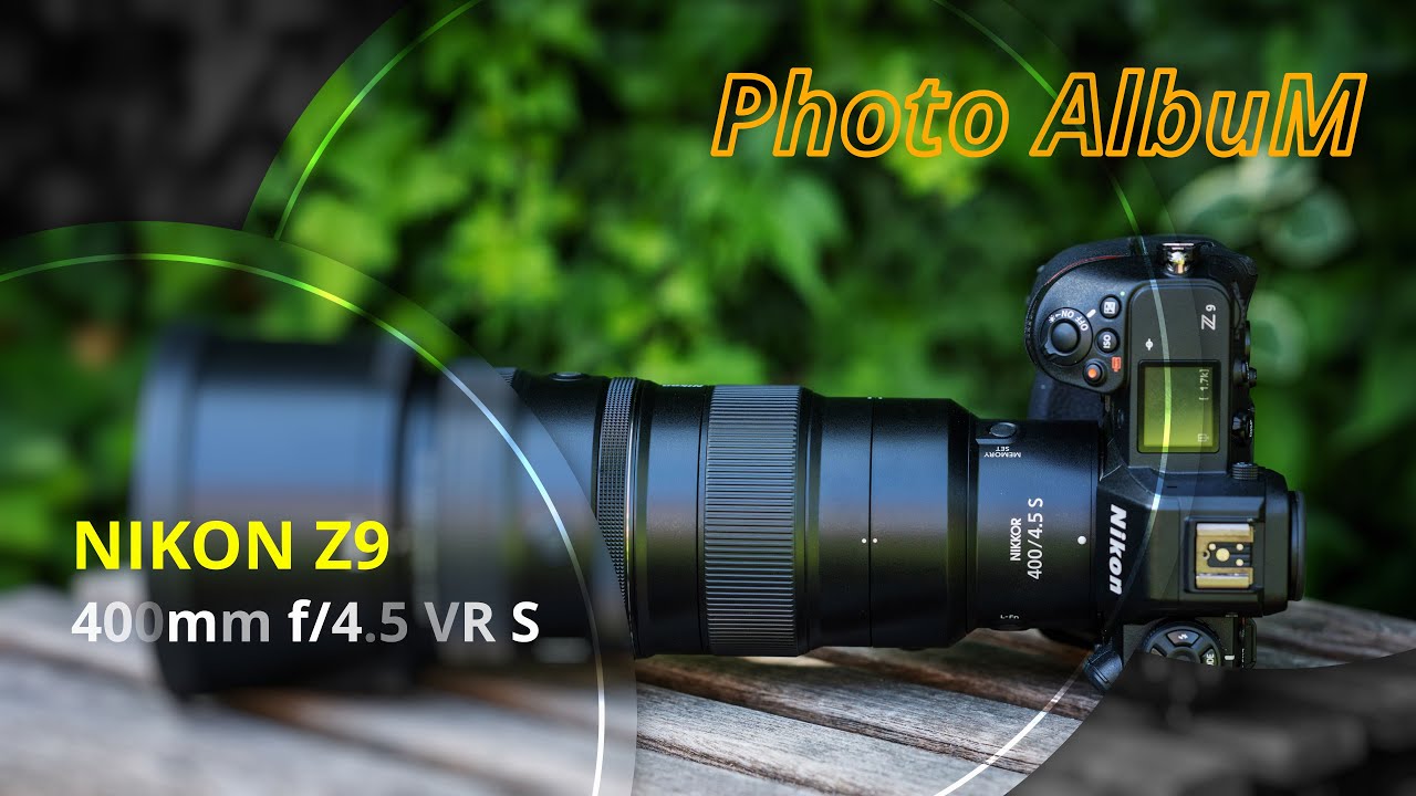 Photo Album Wildlife Photography with NIKKOR Z 400mm f/4.5 VR S Lens ...