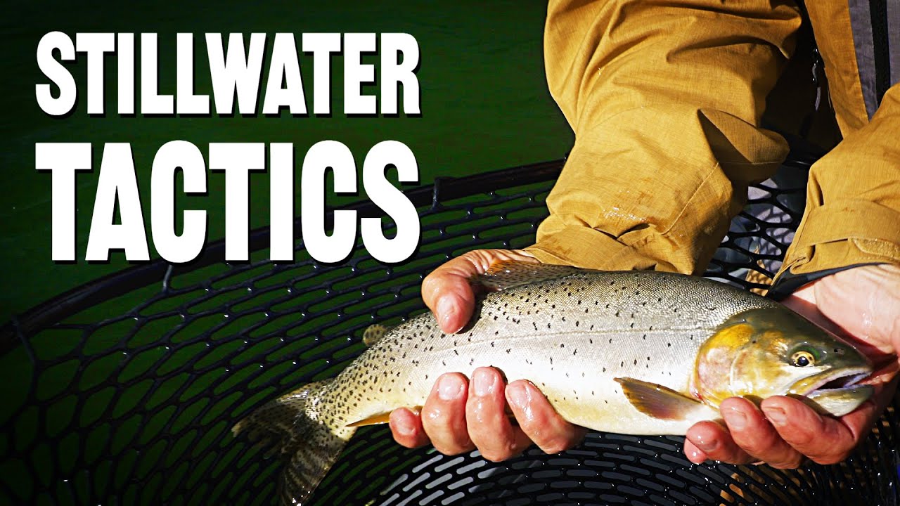 Advanced Stillwater Tactics for Trout - YouTube