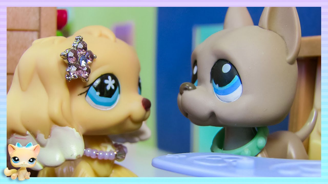 LPS Love Story - Love is Blind (Episode #14: The Get Together) - YouTube