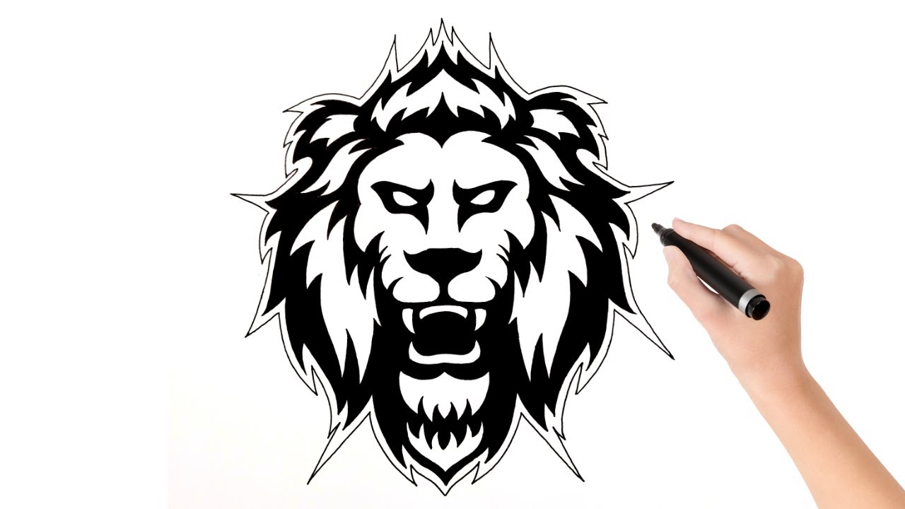 how to draw a lion | lion drawing easy step by step | lion drawing easy ...
