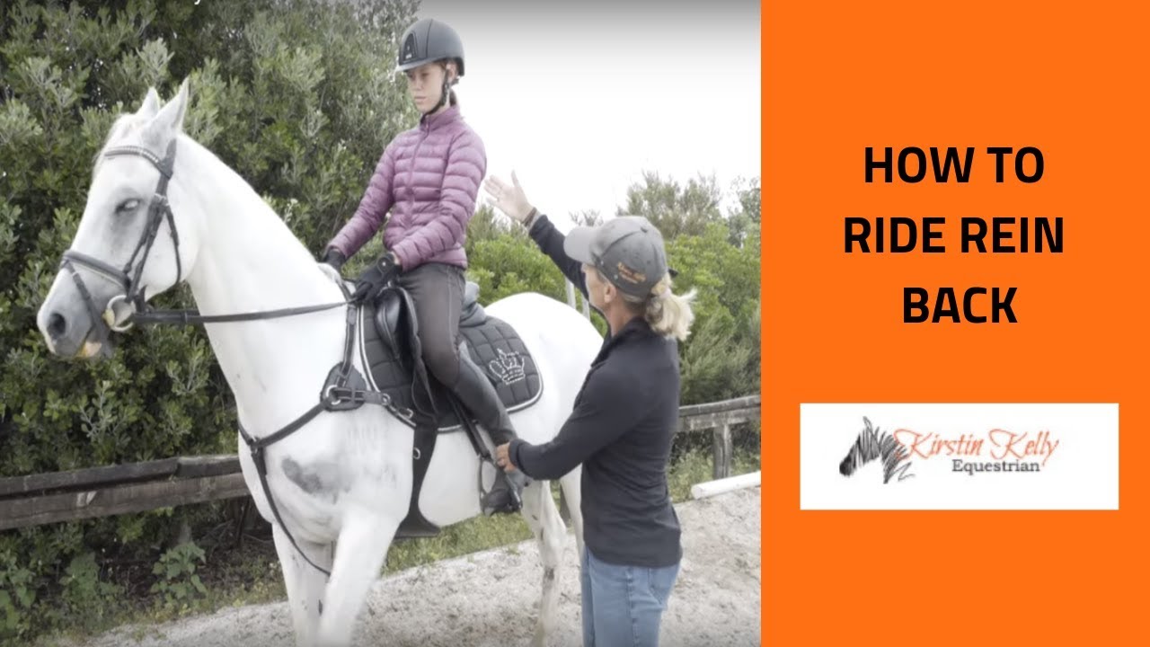 How to ride rein back with Kirstin Kelly - YouTube