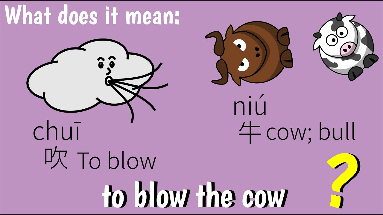 Chinese daily expression| 吹牛 chui niu | what does it mean" to blow the ...