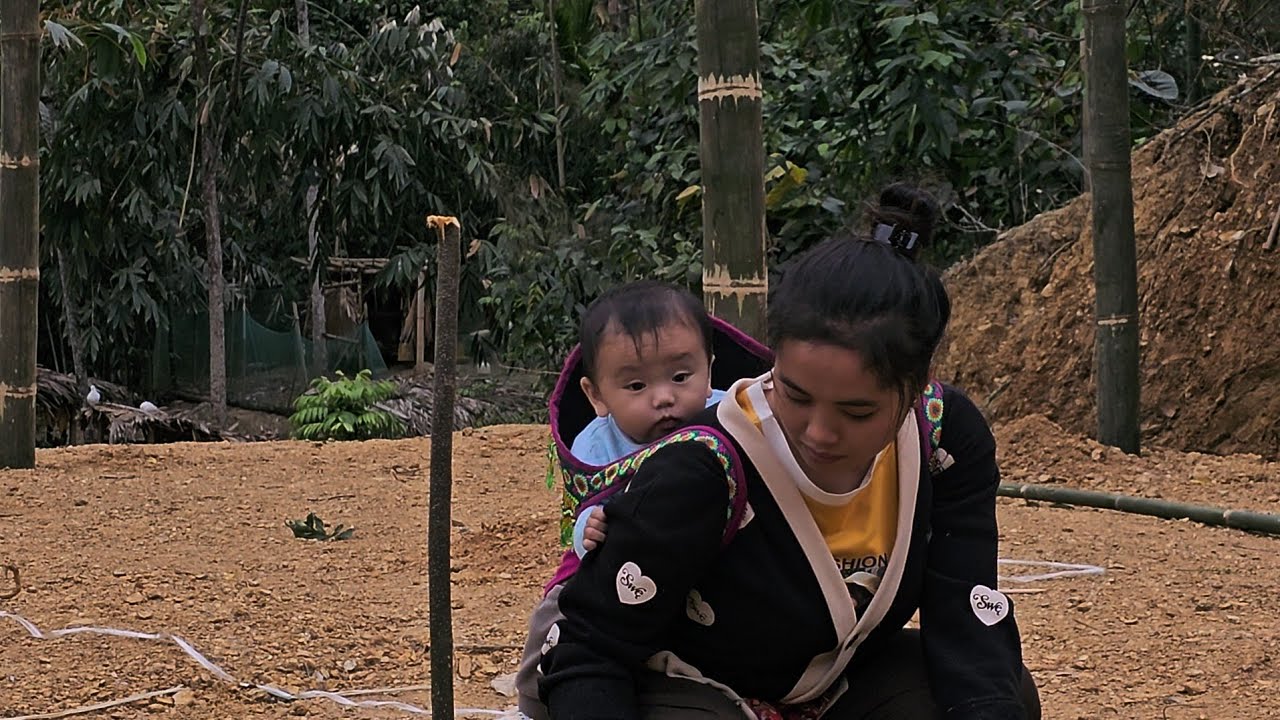 Ly Thi Di and Her Son Joyfully Start Construction on Their Dream House ...
