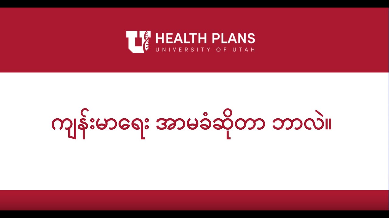 Burmese- What is Health Insurance? - YouTube