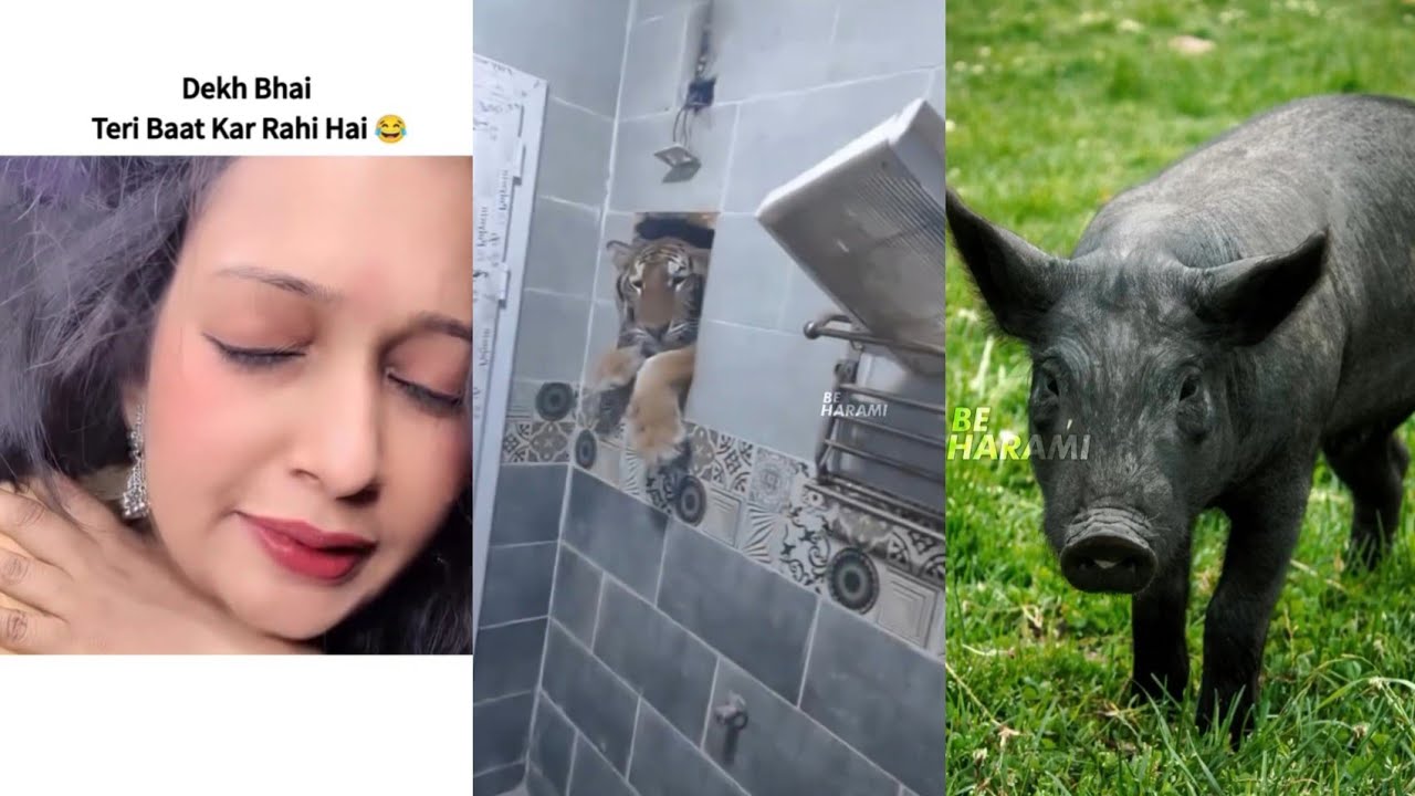 Ultimate Meme Compilation Part 1 | #ultimatememecompilation #meme # ...