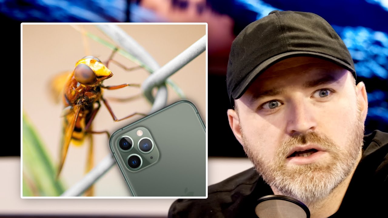 Smartphone Radiation Killing the Insects?? - YouTube