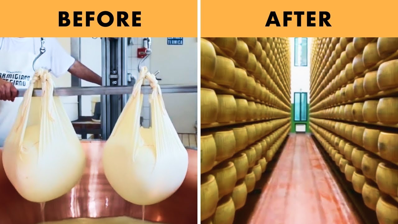 How Cheese is Made by Marvellous machines & Skilled Workers - YouTube
