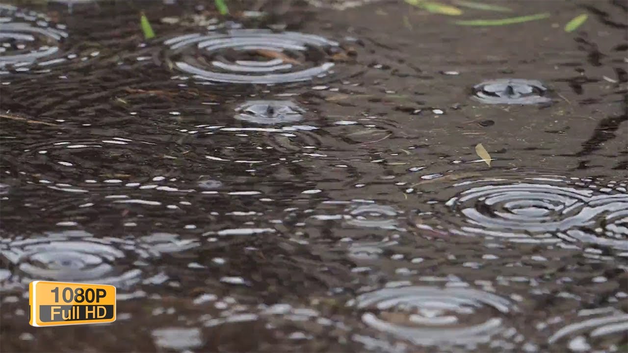 HD Loop Rain Drops Falling Real Rain Slow Rain Sky Drops | Free Footage ...