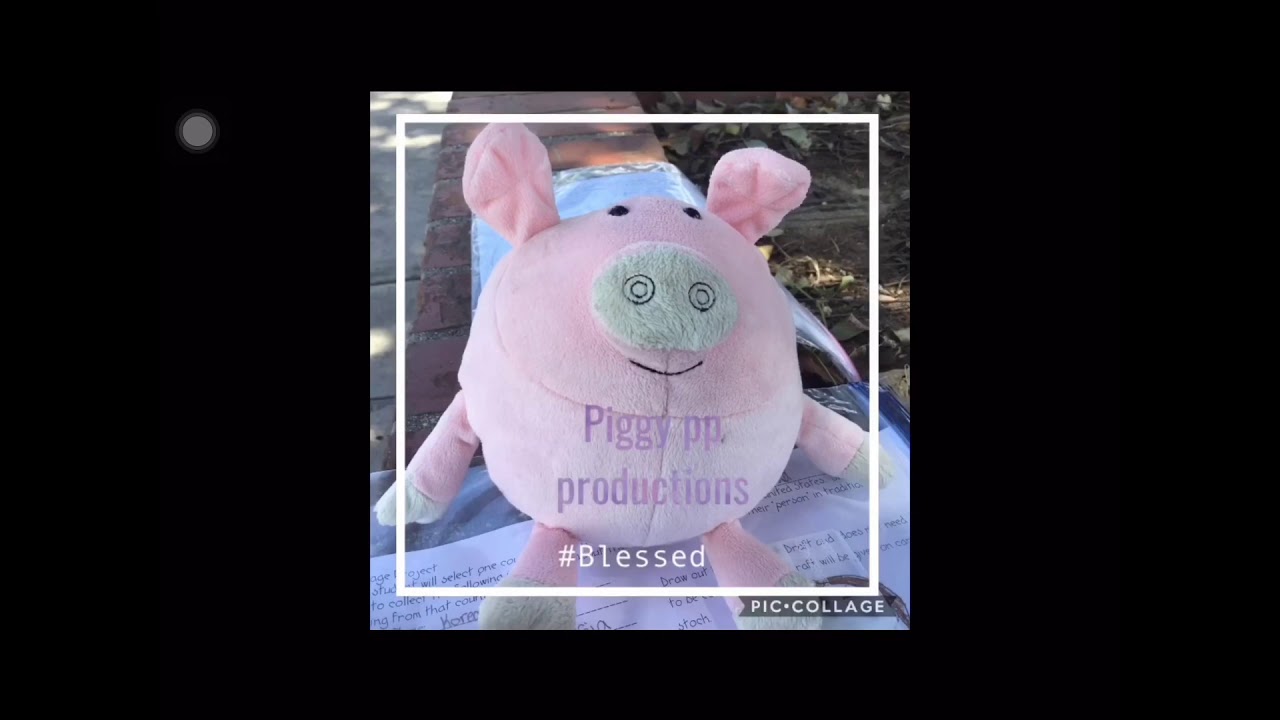 Piggy PP- finds a home 🏠 - YouTube