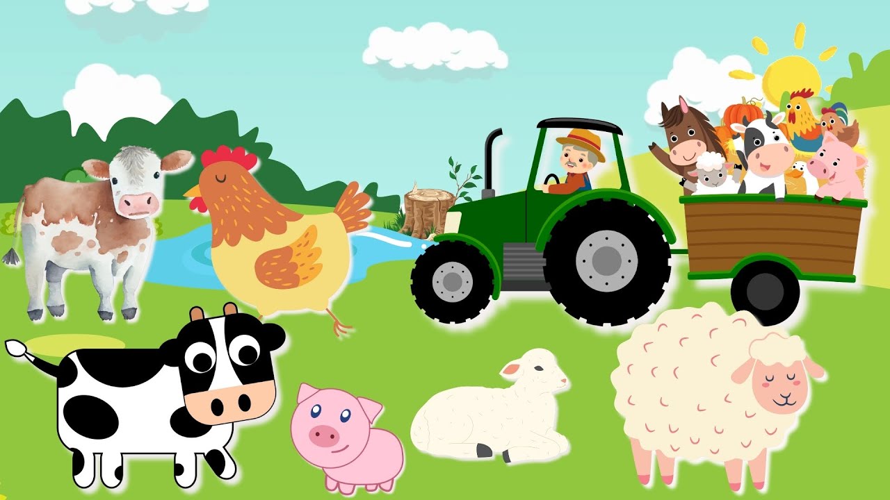 The Animal| Duck, Cat, Dog| Science for Kids| Best Learning Videos For ...