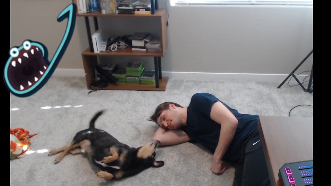 Jerma Streams - Otto Stream - YouTube