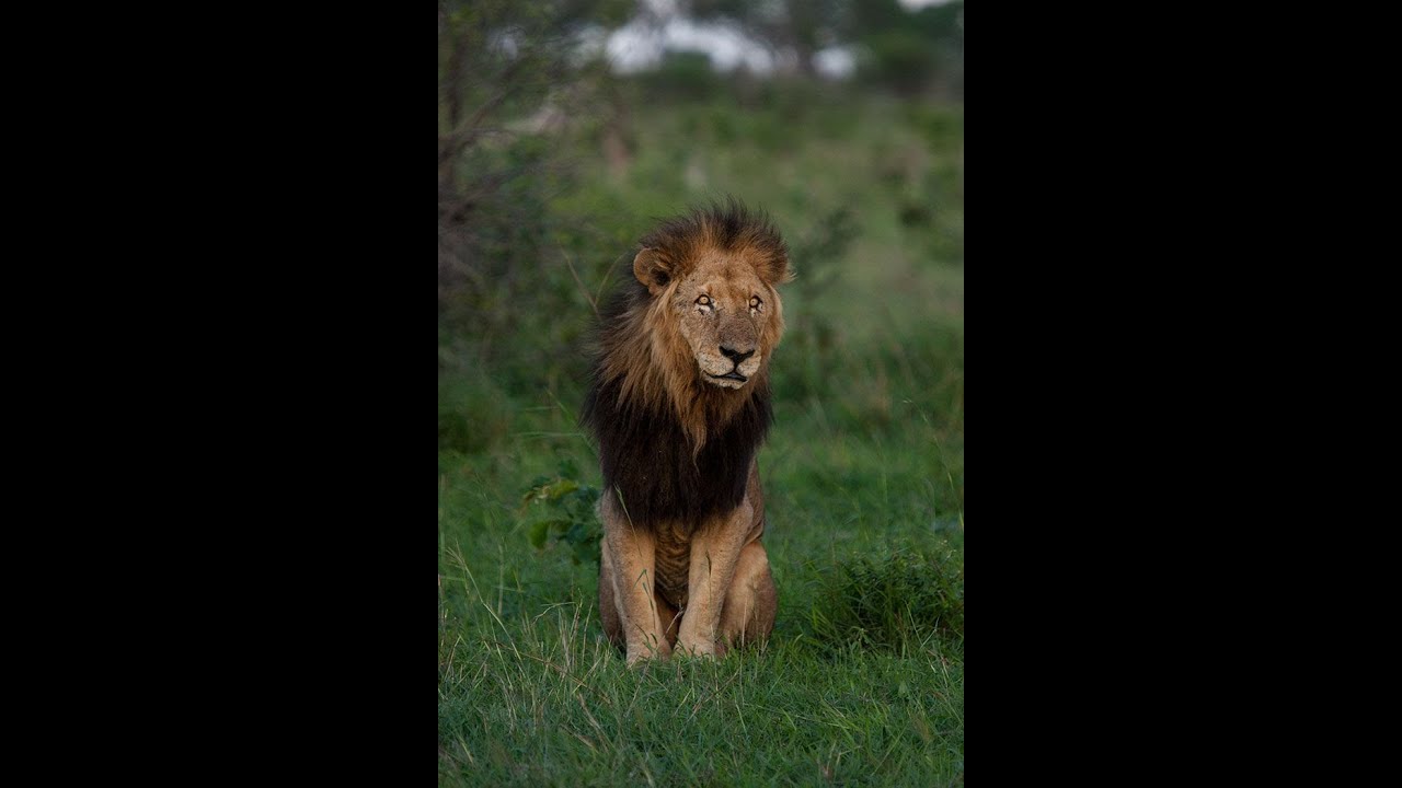 TERRIFY KING | EPISODE 1 ( DOCUMENTARY OF THE MATOGO MAKHULU SOLO ...