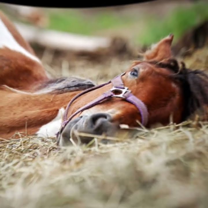 Bhagwan hai kaha re tu 😥😢। Hey khuda hai kaha re tu।#sadsong #emotional ...