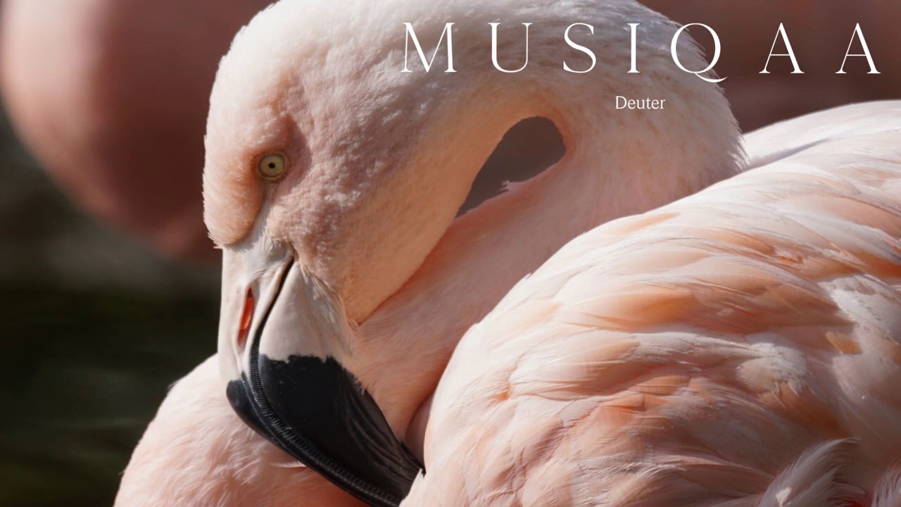 Deuter ⋄ Reiki Healing ⋄ Meditation music - YouTube