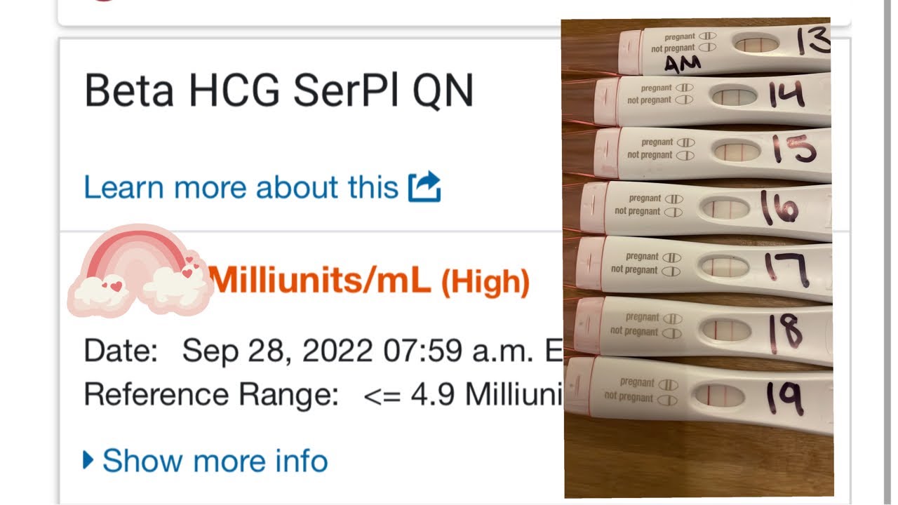 Live pregnancy test| 3rd beta results| plus size IVF at 36 - YouTube