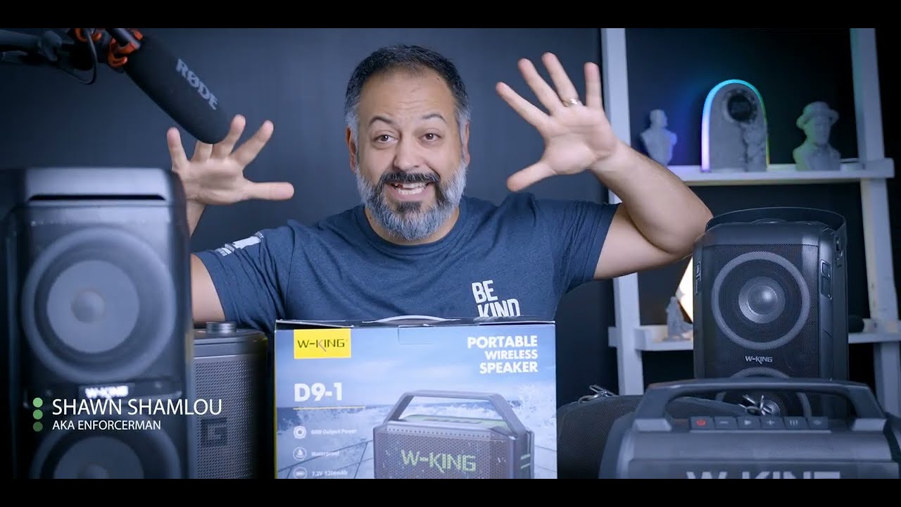 ‌A BUDGET SPEAKER WITH A BIG PUNCH - Full Review of W-King D9-1 with ...