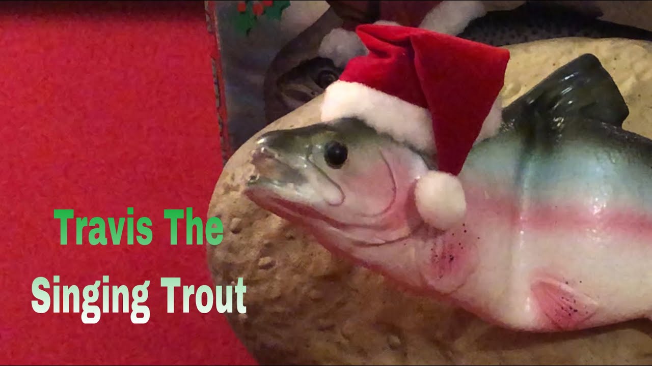 ‘Travis The Singing Trout’ Christmas Edition (Country version) - YouTube