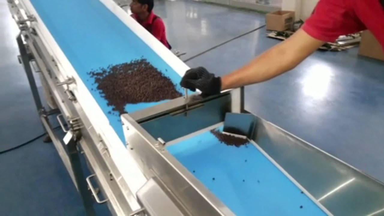 Armstrong-Intralox incline to packing (food) conveyor. Belt - Intralox ...