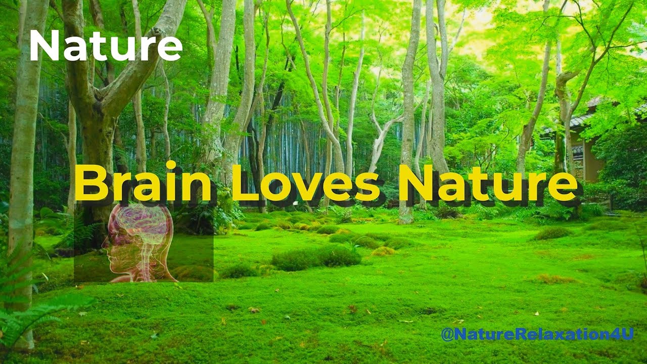How does Nature nurture the Brain? - YouTube