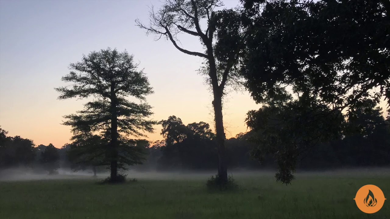 Circle Luna Sunset - YouTube