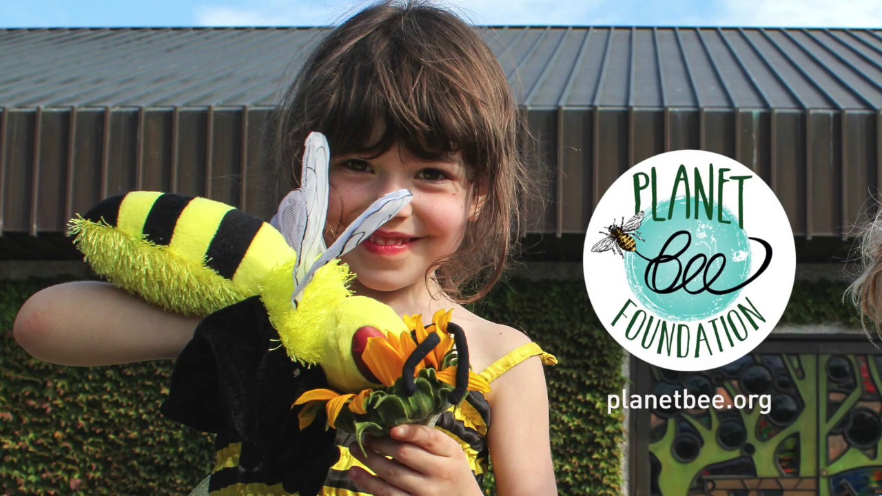 The Buzz About Planet Bee Foundation and How You Can Help the Bees ...