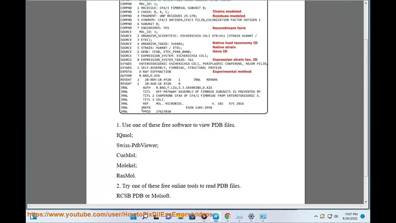 View Protein Data Bank (PDB) file on Windows - YouTube