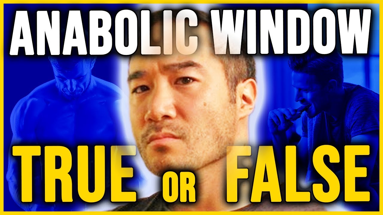 Post-Workout Anabolic Window | Anabolic Window Explained by Alan Aragon ...
