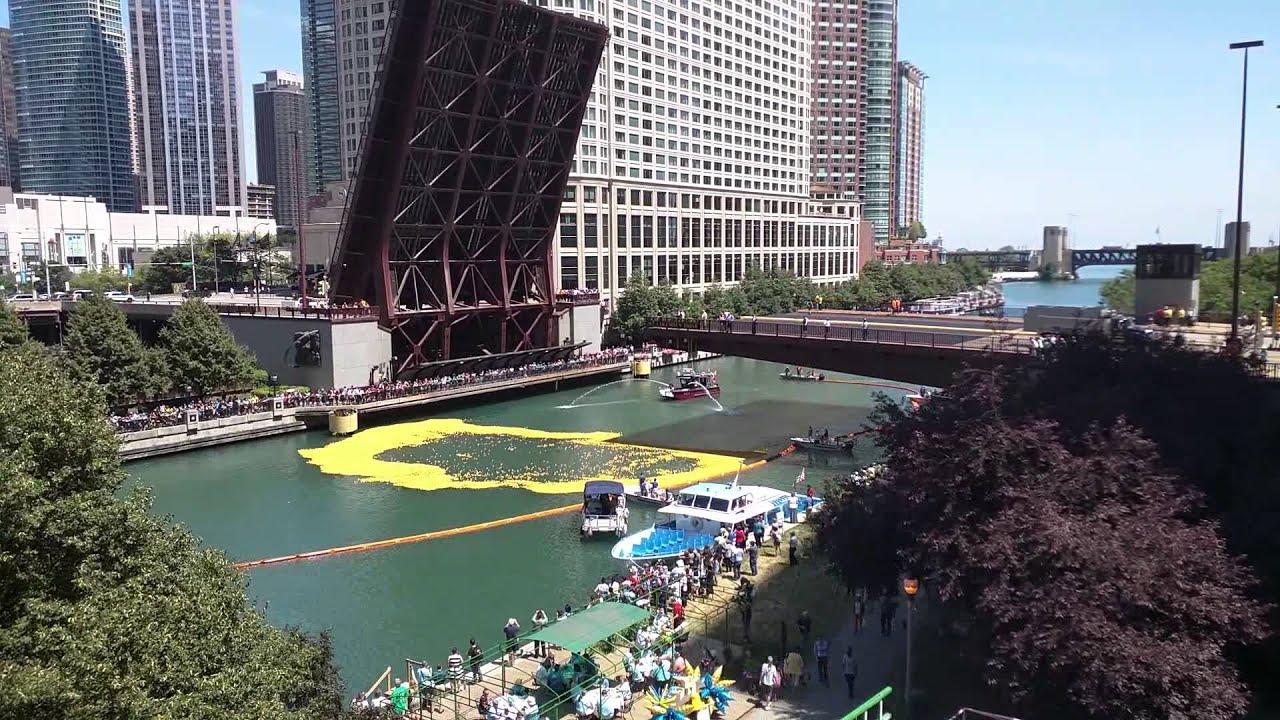 Chicago Rubber Ducky Derby - YouTube