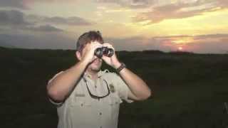 Everglades Rare Plants Under Siege