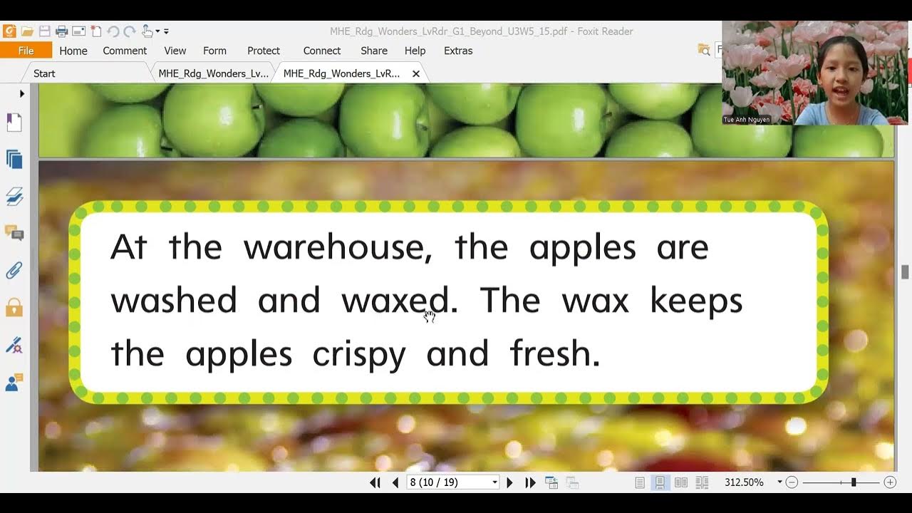 Apples from farm to table - Wonders G1 leveled reader - YouTube