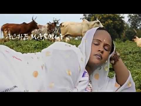 Ache Maroua -Foulbe