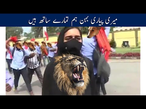 Hijab Girl | New Hijab Girl WhatsApp status | Brave Muslim Girl Protest against Boys #bravegirl