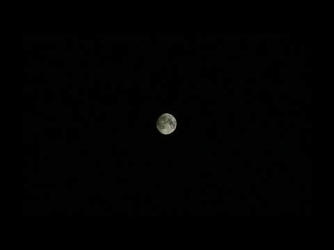 Nisa - Geceler sarhoş