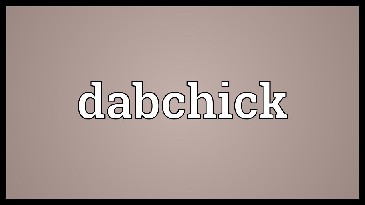 Dabchick Meaning - YouTube