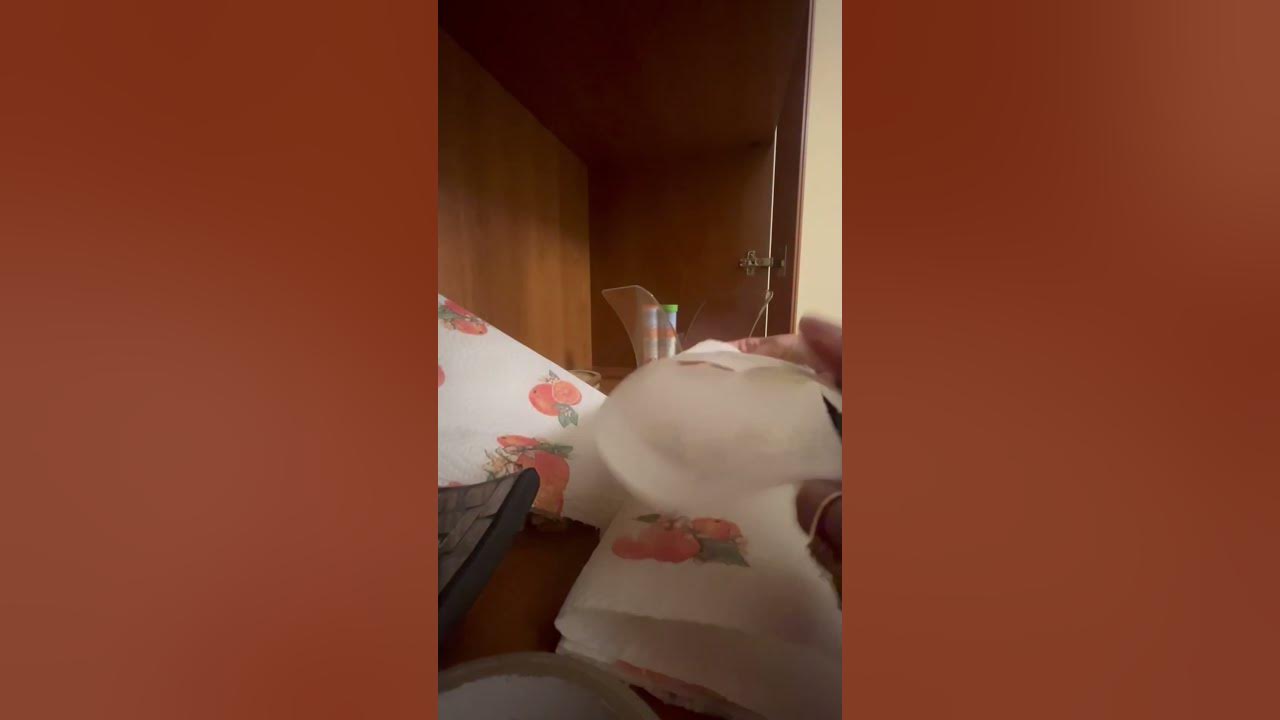 Watch me reload tissue holder - YouTube