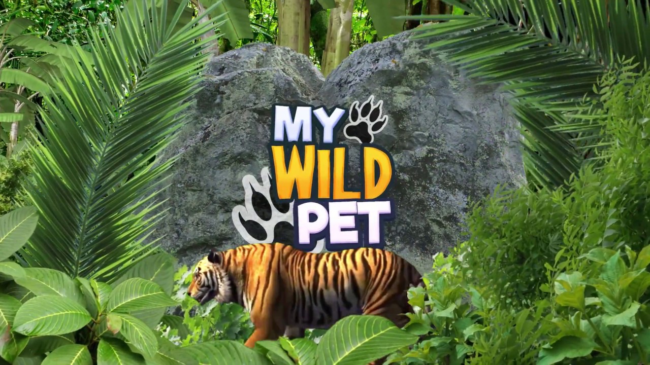 My Wild Pet - Become a LIFETIME RESCUER Today! - YouTube