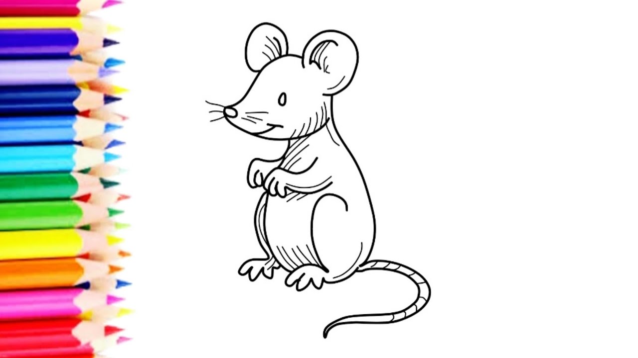 how to draw a mouse| draw a mouse Step by step for kids - YouTube
