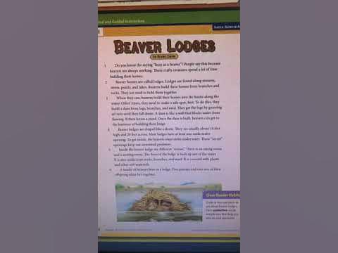 3rd - Beaver Lodges by Bryan Davis - Ready Lesson 1 - YouTube