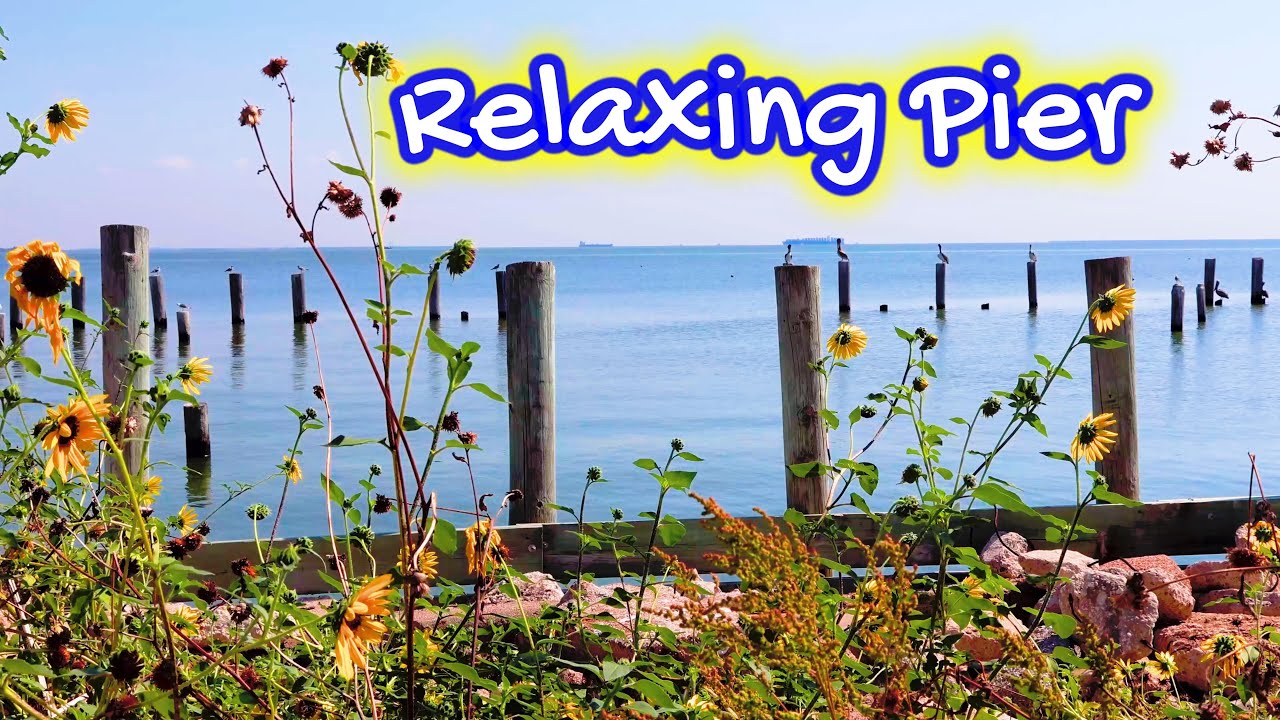 🔴🌊💦 Relaxing Pier Ambience 4K | Ocean Waves, Splashes & Seagulls ...