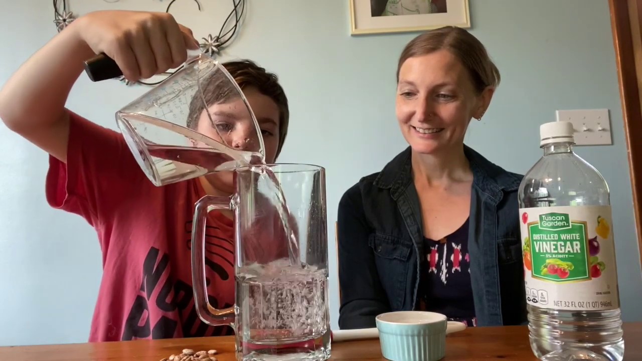 ORLA Boredom Busters - Magic Dancing Beans - YouTube