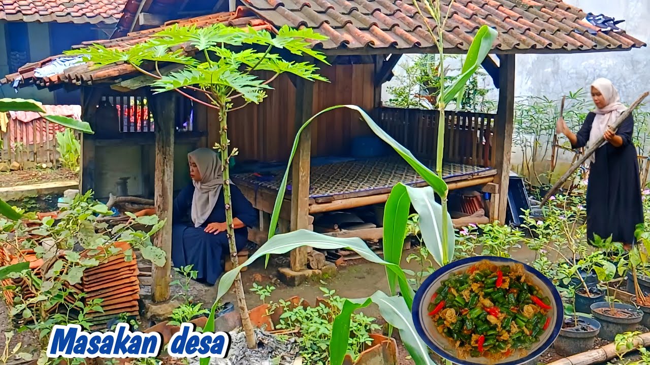Hidup di Desa | Masak Tumis Kacang Panjang + Telur, Sambal Goreng ...