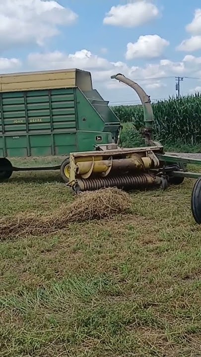 Chopping hay with the 4250 #johndeere #dairyfarm #hay - YouTube