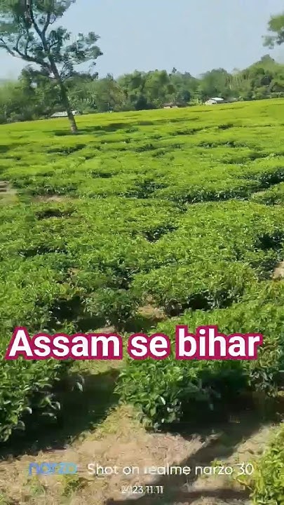 Assam se Ghar #assam #ghar #Bihar - YouTube