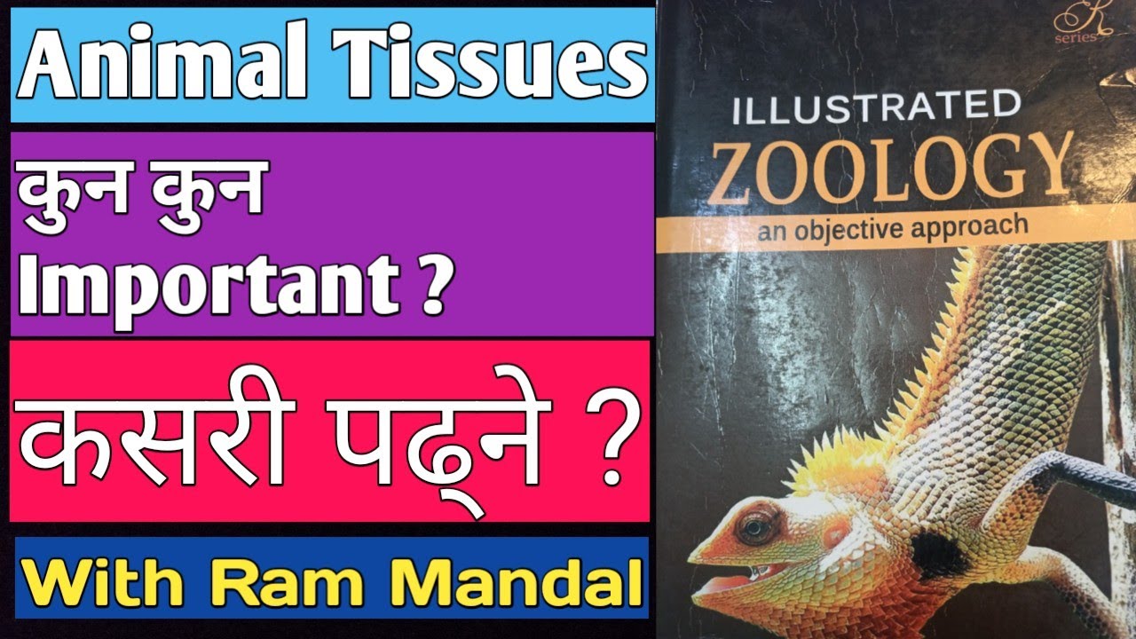 Animal Tissues : 4marks Confirmed 🎯🩺|All Four Types| For CEE 2022 ...