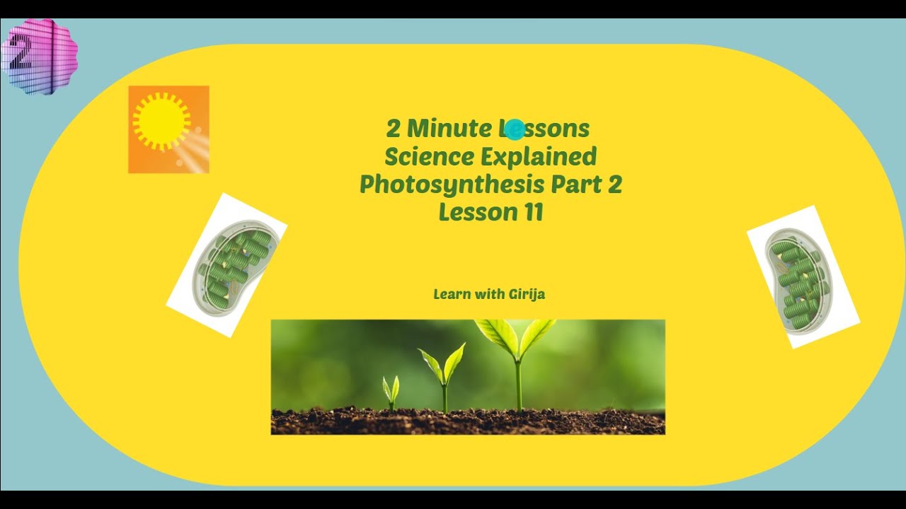 2 Minute lessons: photosynthesis //Light Reaction// part II lesson 11 ...