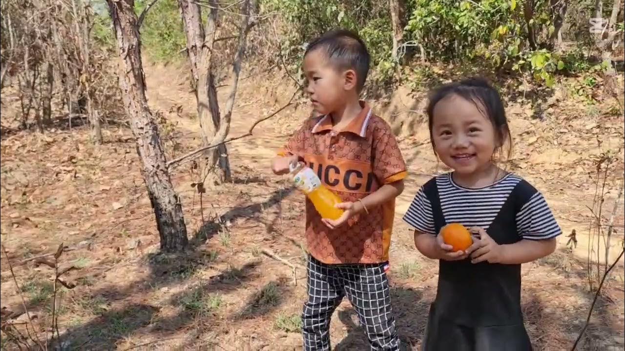 Peb saws dawv mu saib yawm lub tsev luag os - YouTube