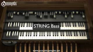 Acousticsamples : Distribution by Plugivery